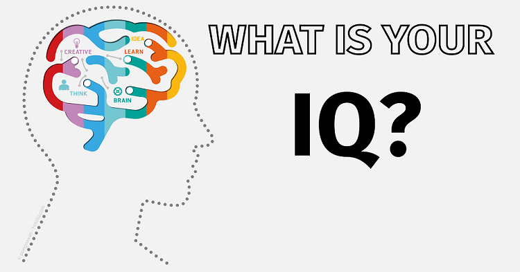 How Do IQ Tests Work: 5 Things You Need to Know