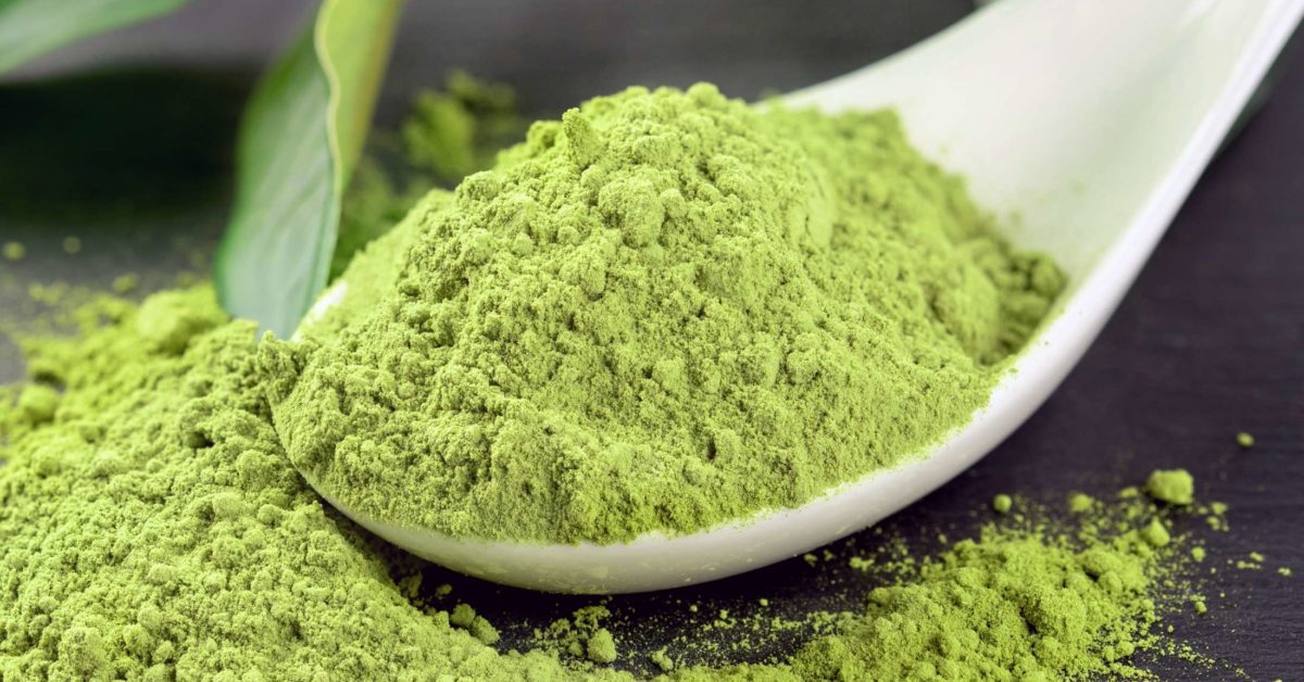 What is Matcha, and What is so Special About it?