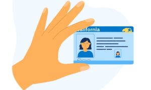 Design Your Own Photo ID Card: What Material to Use?