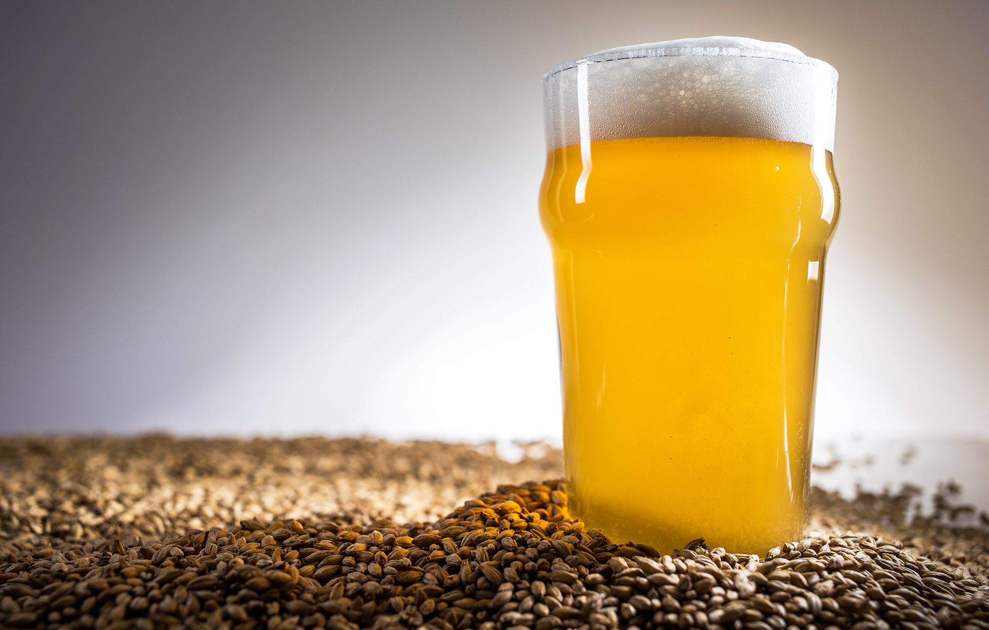 From Hops to Cans: A Guide to the Brewing Process of Beer