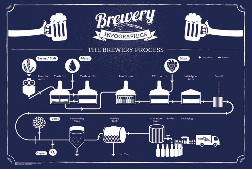 From Hops to Cans: A Guide to the Brewing Process of Beer