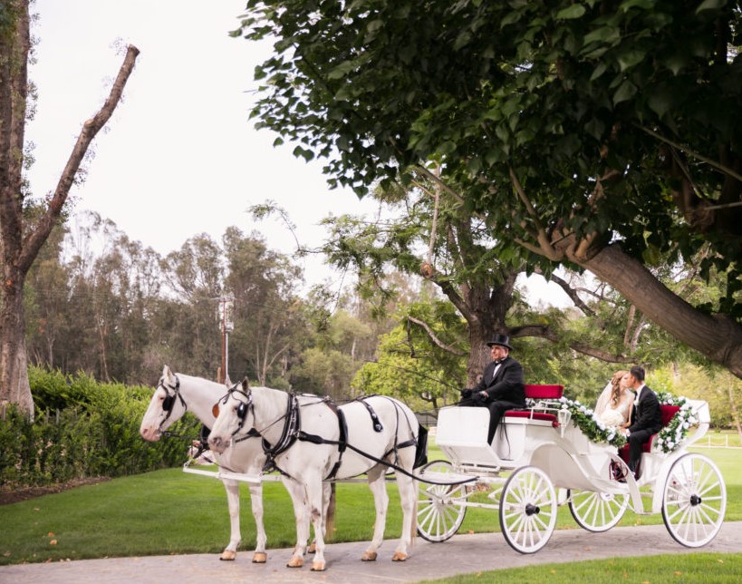 Celebrate In Comfort-Wedding Transportation Options For A Stress-Free Day