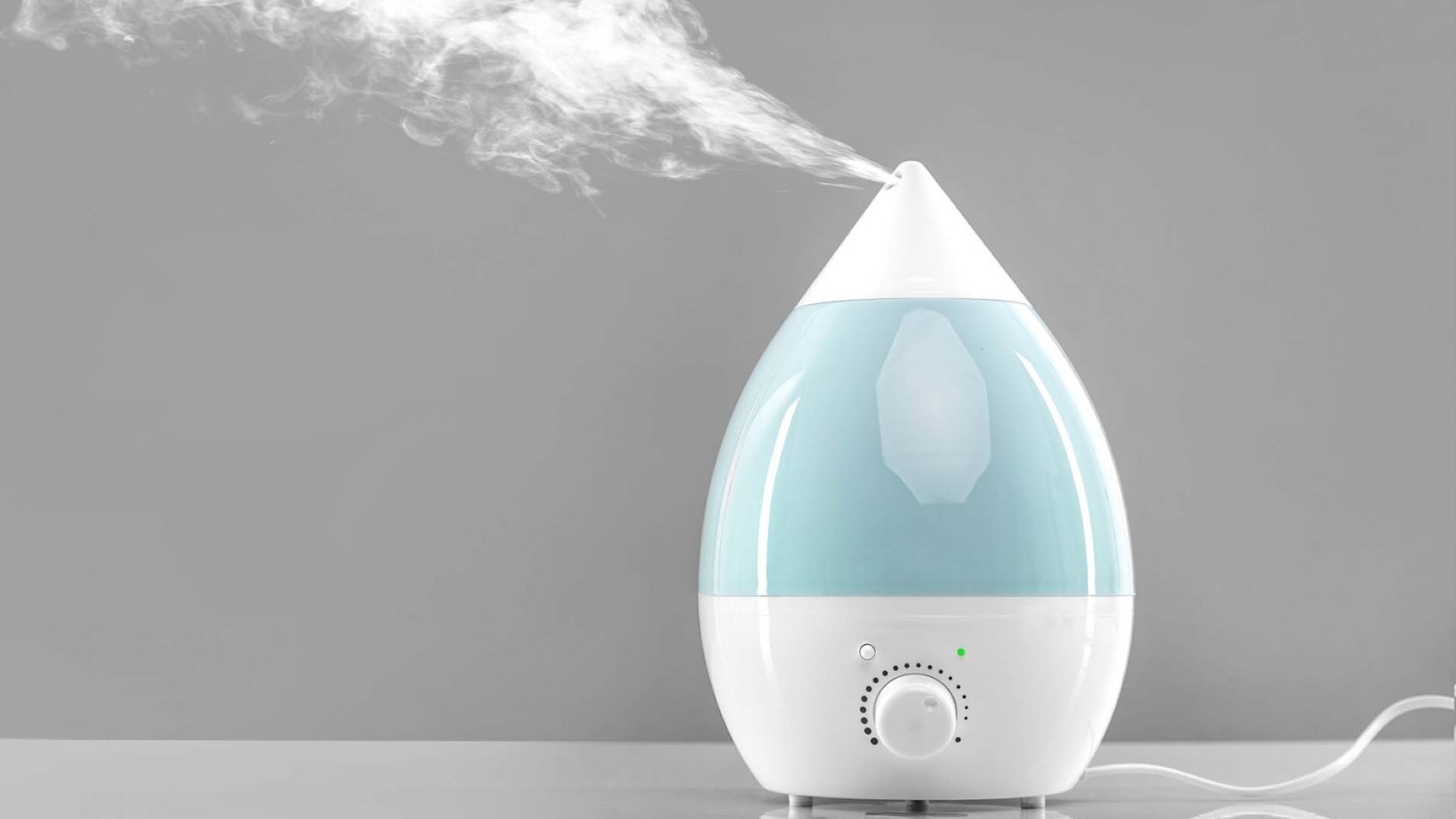 Humidifier Buying Guide: Everything You Need to Know