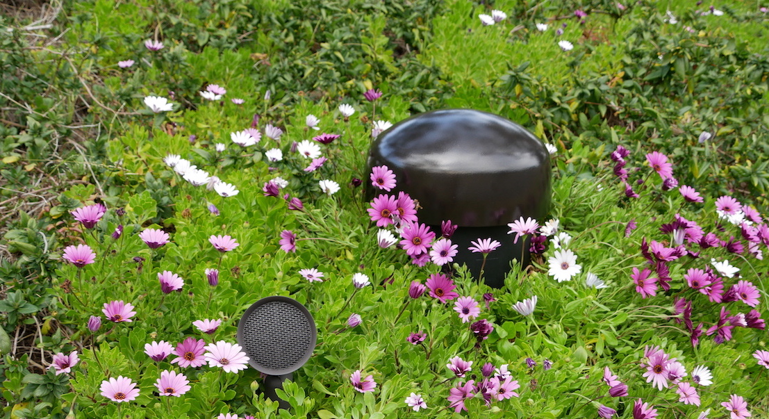 Soundscaping Your Garden: A Guide to Choosing the Perfect Outdoor Speakers