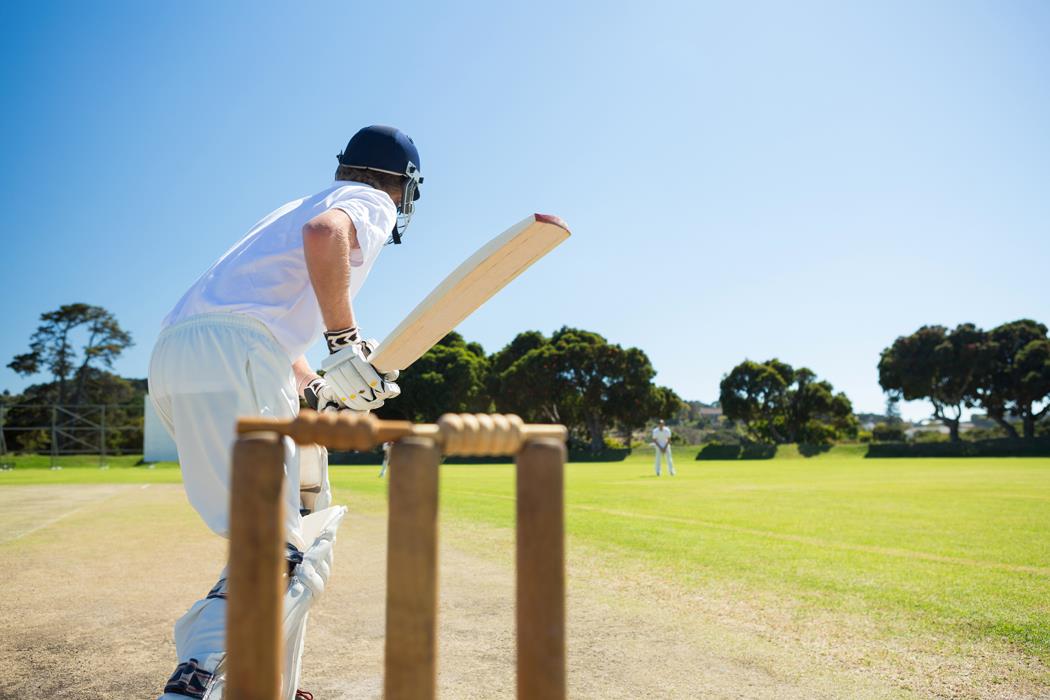 India's Road to World 2024: Igniting Cricket Fever